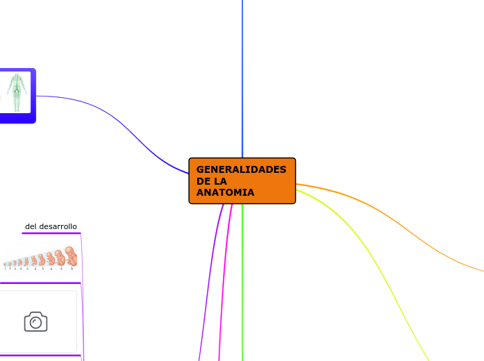 GENERALIDADES DE LA ANATOMIA - Mind Map